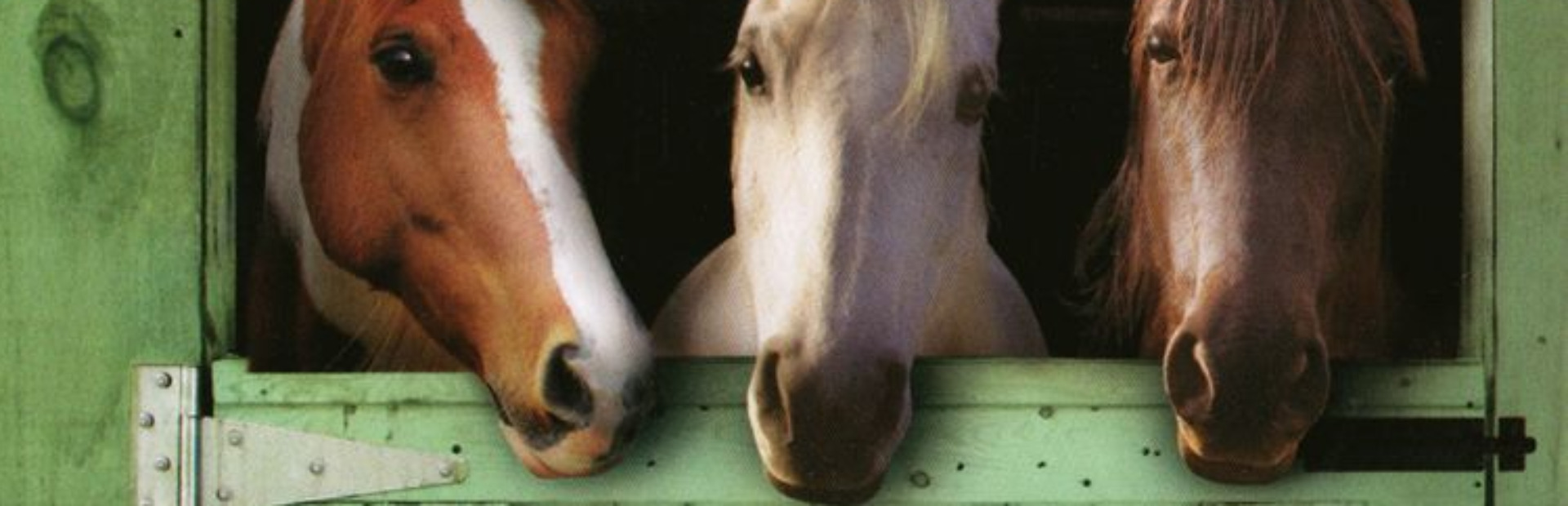 Pony Friends 2 — обзоры и отзывы, описание, дата выхода, официальный ...