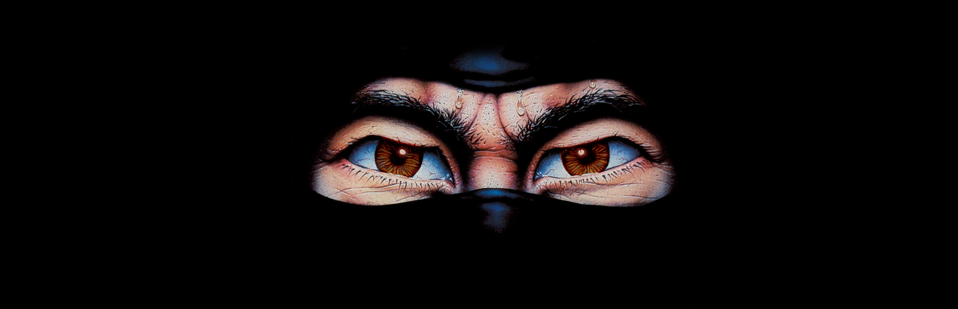 The Last Ninja (Ninja Remix) — обзоры и отзывы, описание, дата выхода ...