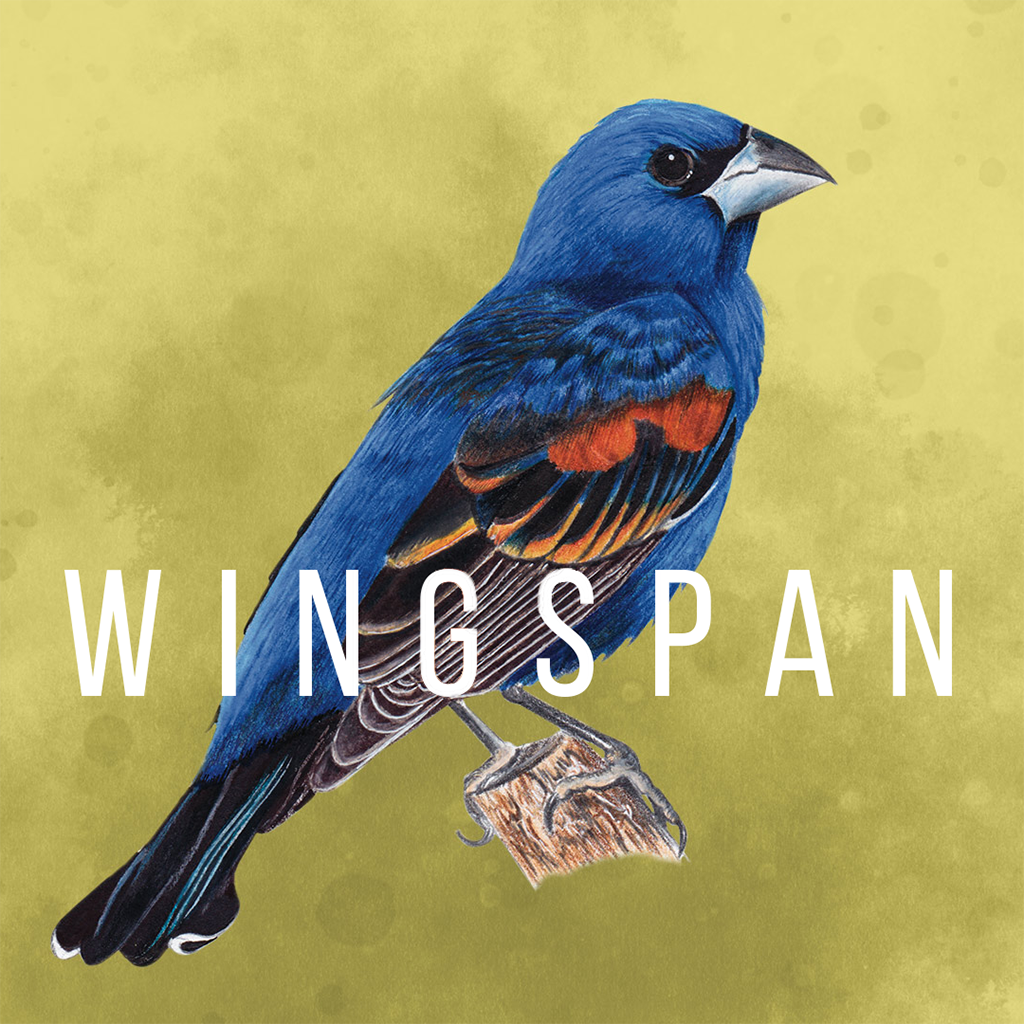 Wingspan - European (WINGSPAN (КРЫЛЬЯ): Птицы Европы) — обзоры и отзывы ...