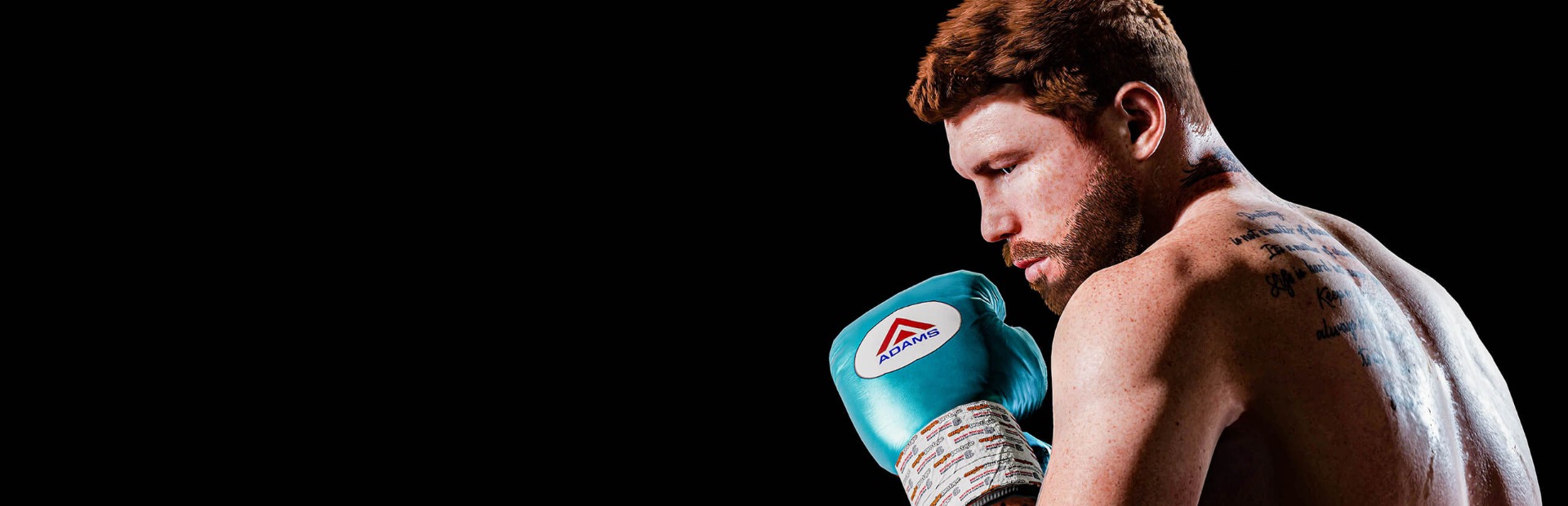 Undisputed — обзоры и отзывы, описание, дата выхода, официальный сайт ...