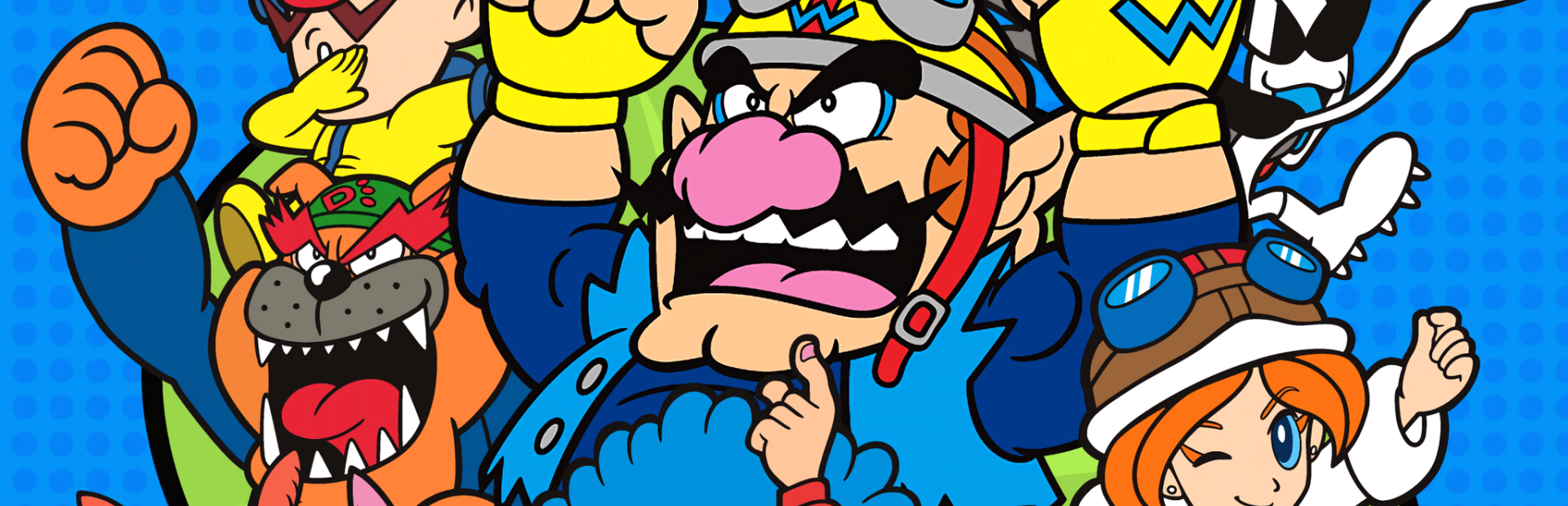 WarioWare, Inc.: Mega Party Games! — обзоры и отзывы, описание, дата ...