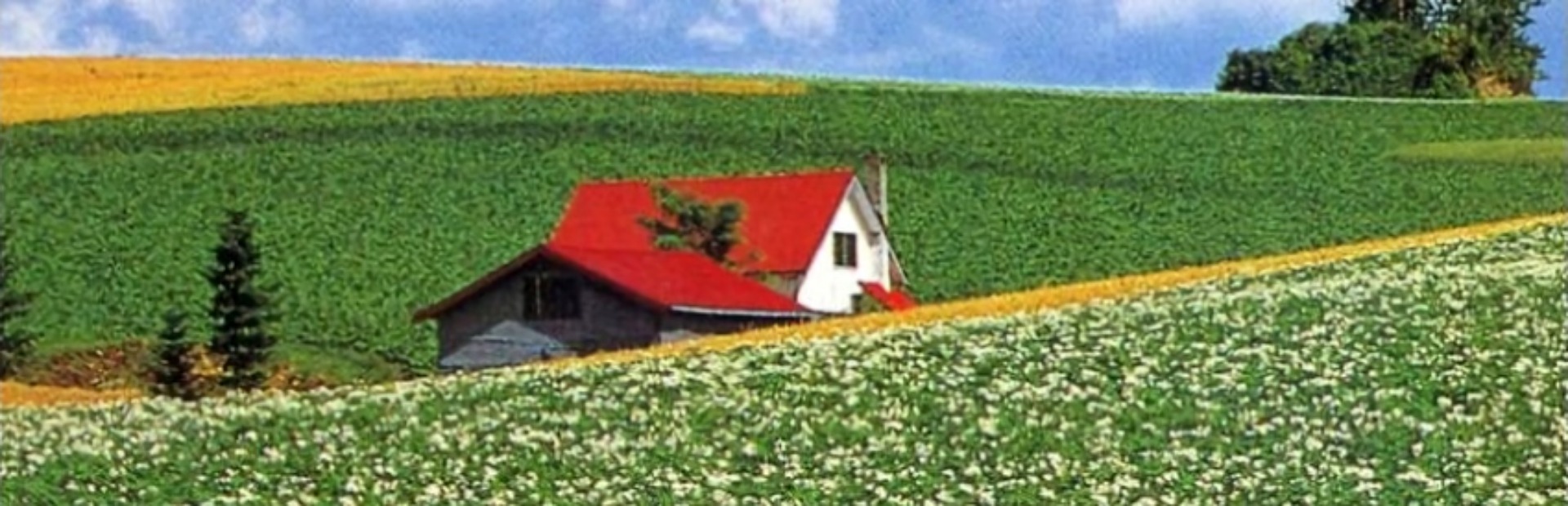 Harvest Moon — обзоры и отзывы, описание, дата выхода, официальный сайт ...