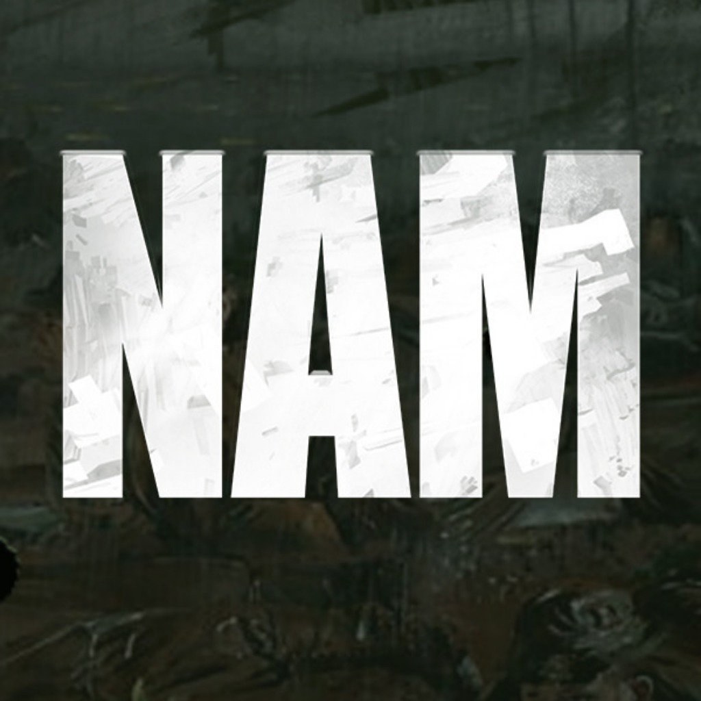 NAM — обзоры и отзывы, описание, дата выхода, официальный сайт игры ...
