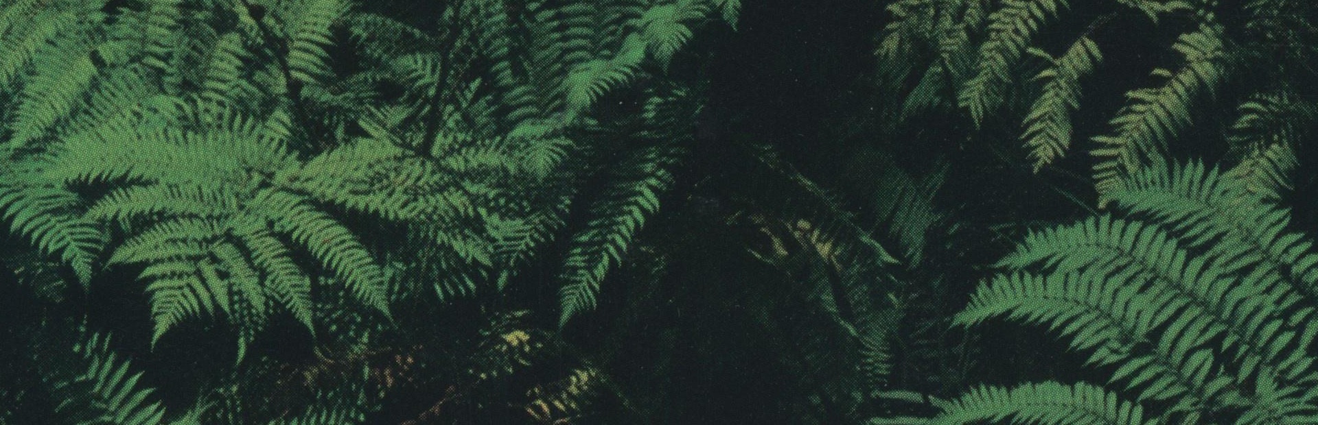 Seaman — обзоры и отзывы, описание, дата выхода, официальный сайт игры ...