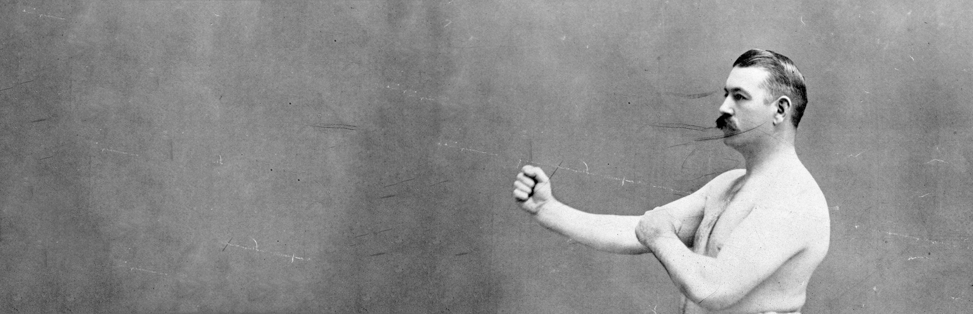 BVOVB - Bruising Vengeance of the Vintage Boxer — обзоры и отзывы ...