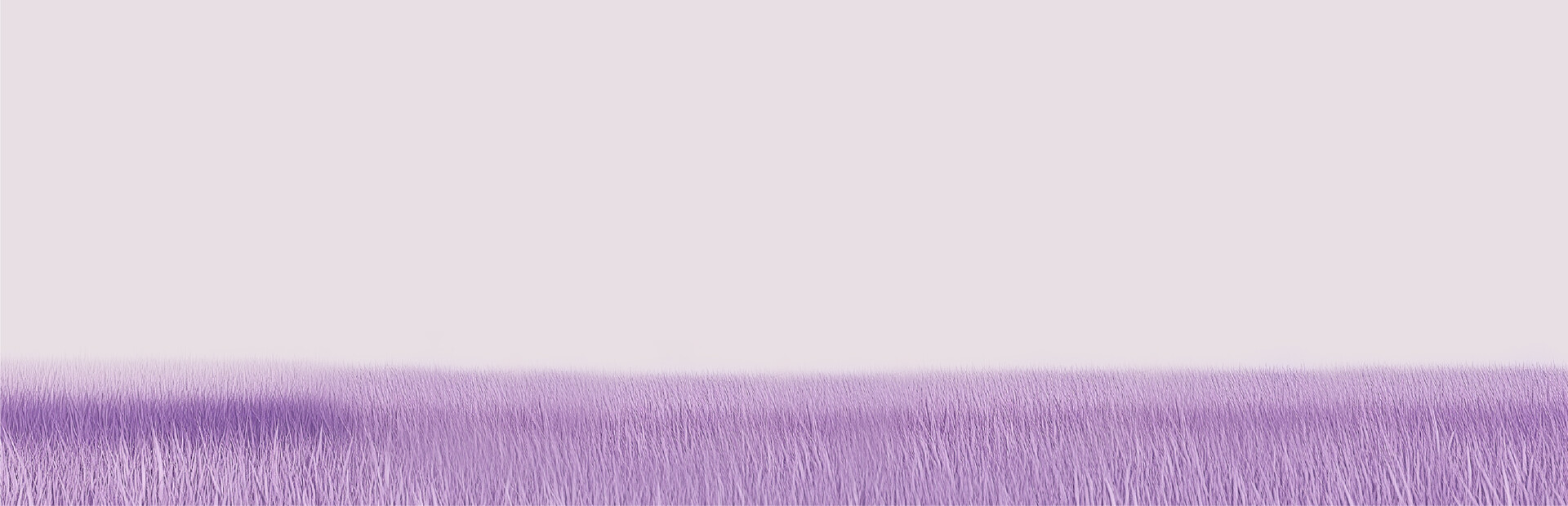 Catly — обзоры и отзывы, описание, дата выхода, официальный сайт игры ...