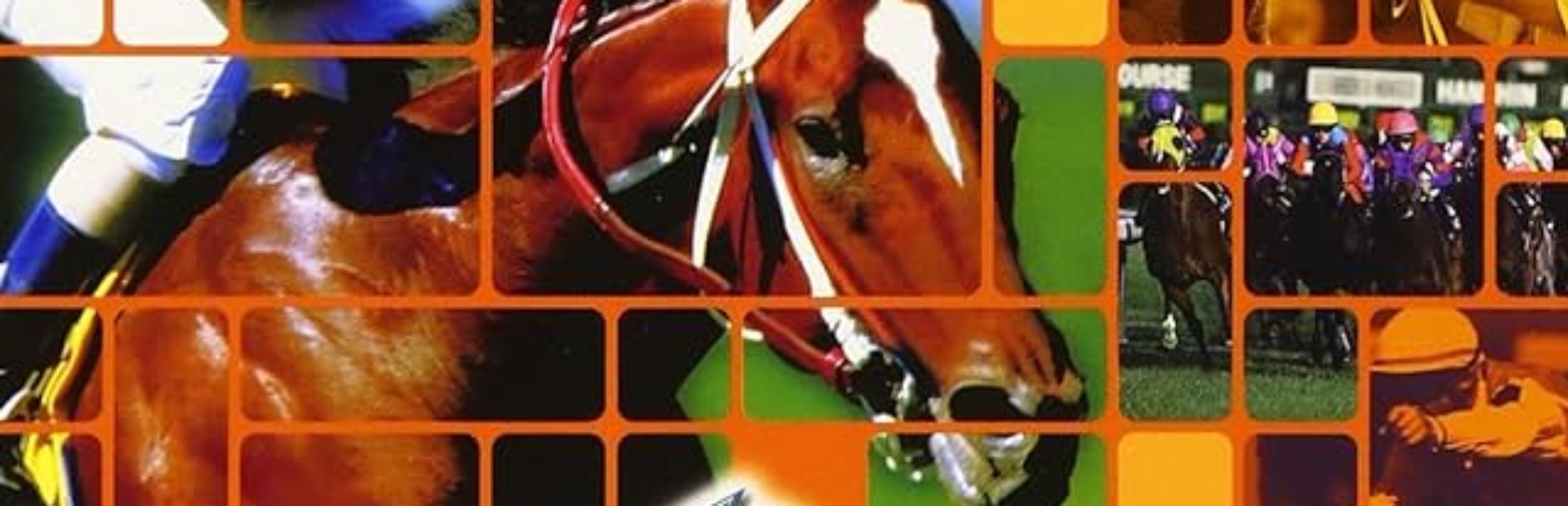 Winning Post World 2010 — обзоры и отзывы, описание, дата выхода, официальный сайт игры ...