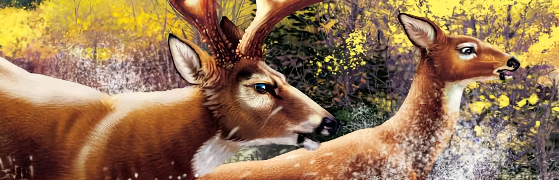 Big Buck HD — обзоры и отзывы, описание, дата выхода, официальный сайт ...