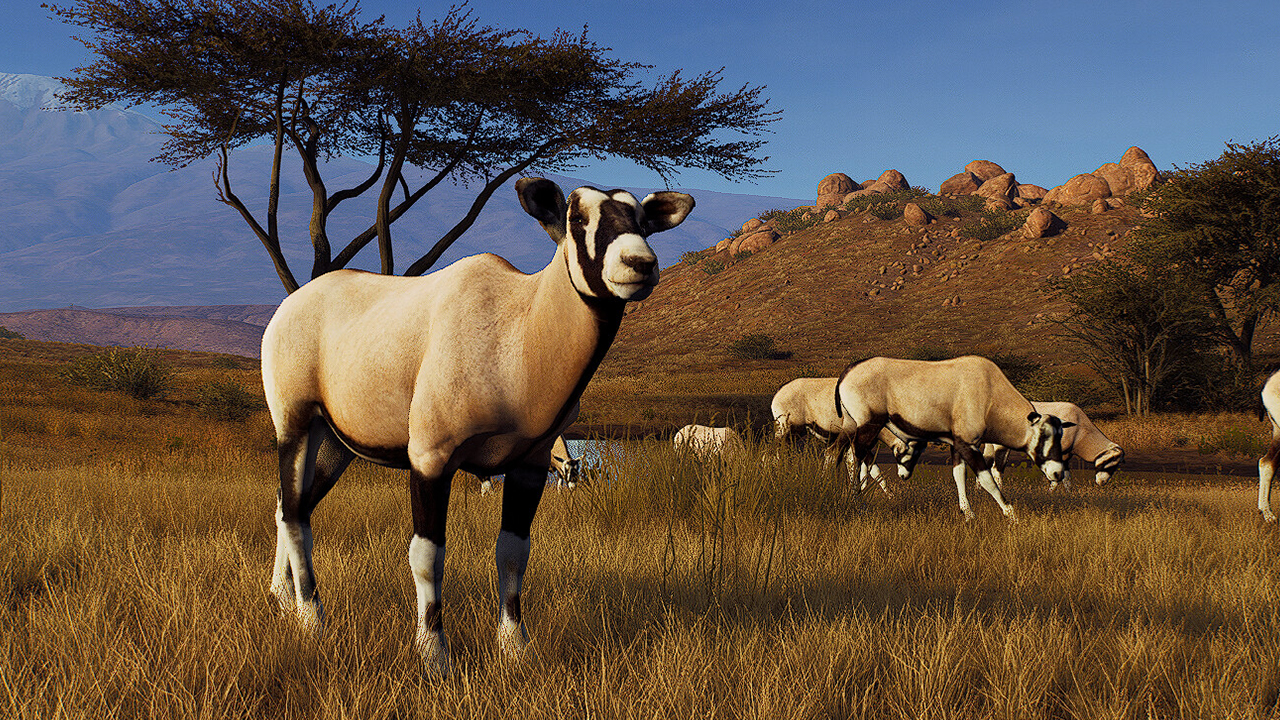 В новом DLC для Way of the Hunter игроки посетят Африку | StopGame