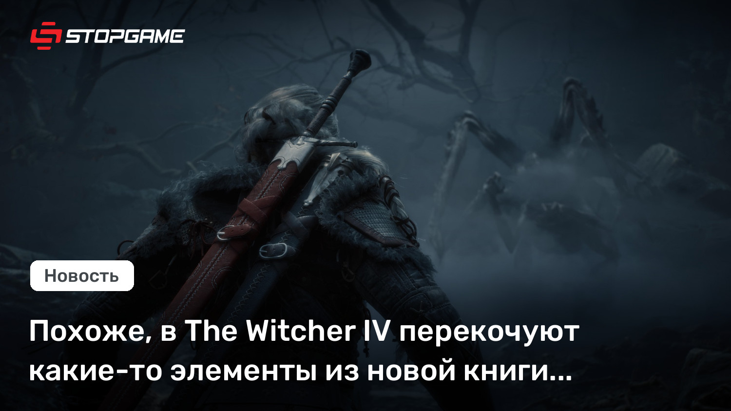 Похоже, в The Witcher IV перекочуют какие-то элементы из новой книги Сапковского | StopGame