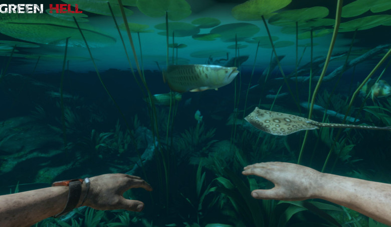 Скриншоты игры Green Hell — галерея, снимки экрана | StopGame