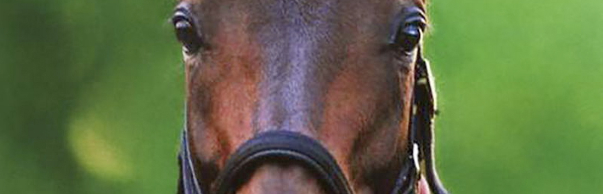 Игры серии Derby Time | StopGame