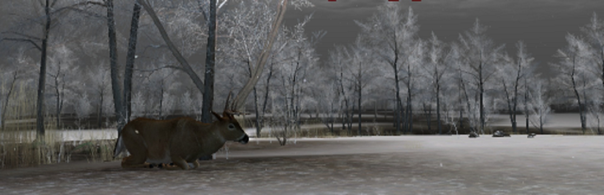 Игры серии Deer Hunter | StopGame